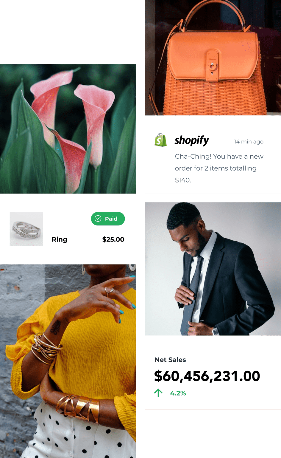 Shopify eCommerce Customization - CertiPro